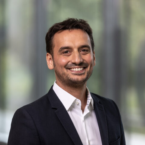 Vincent Mathely - Large Scale Solar Europe 2025